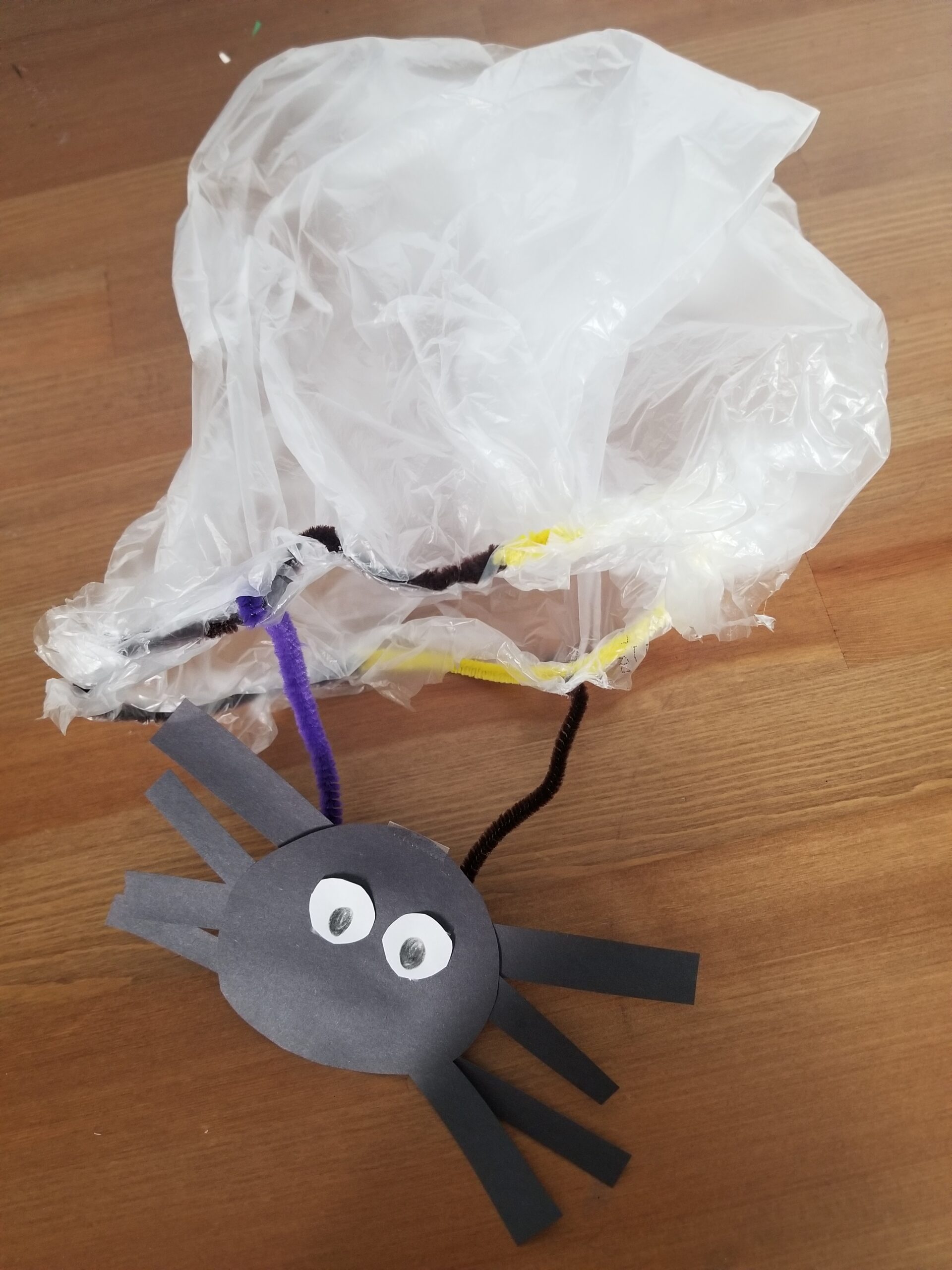 FALL in Love with STEM - Apollo After School