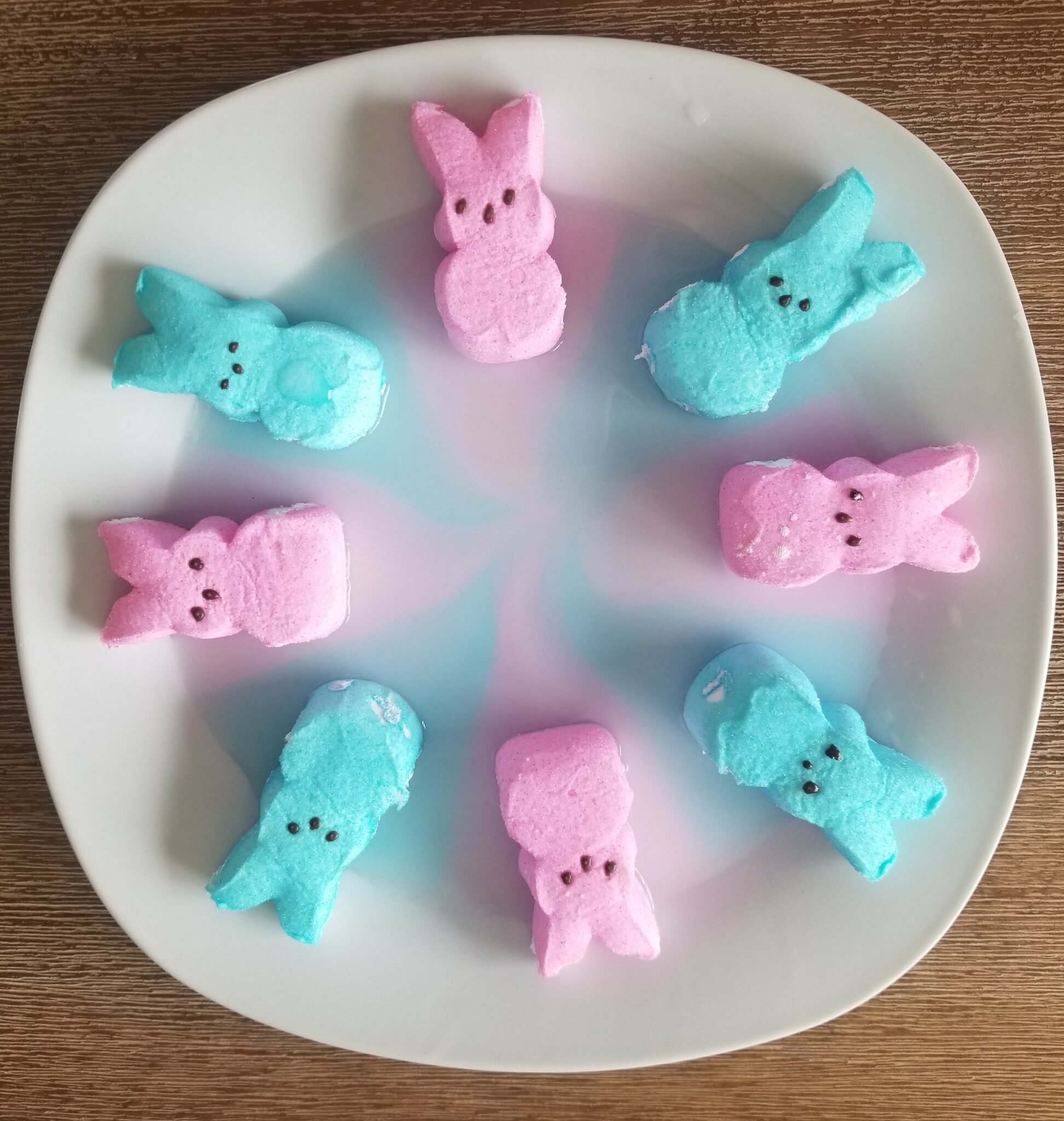 Learning With Marshmallow Peeps - Apollo After School