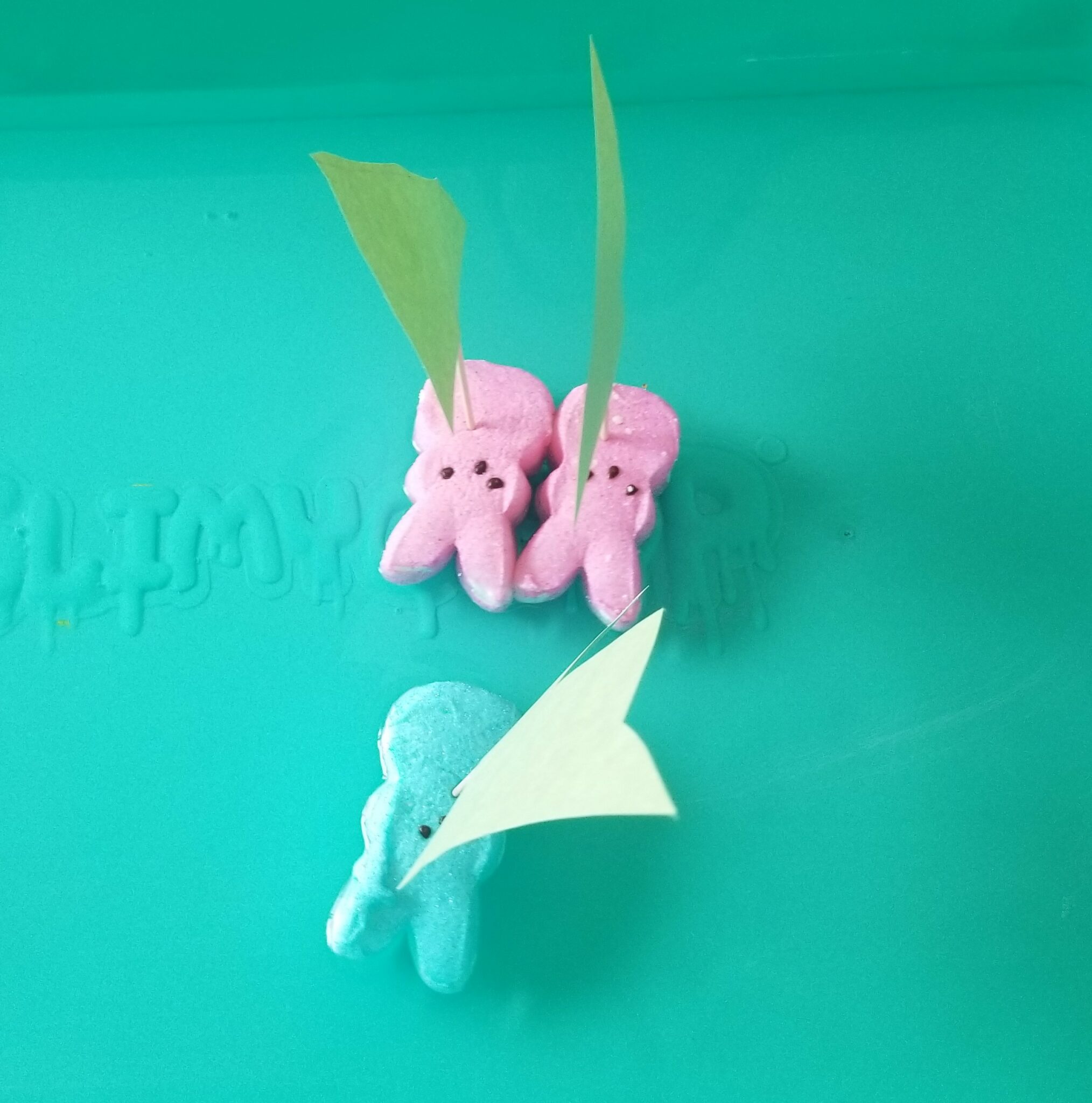 Learning With Marshmallow Peeps - Apollo After School